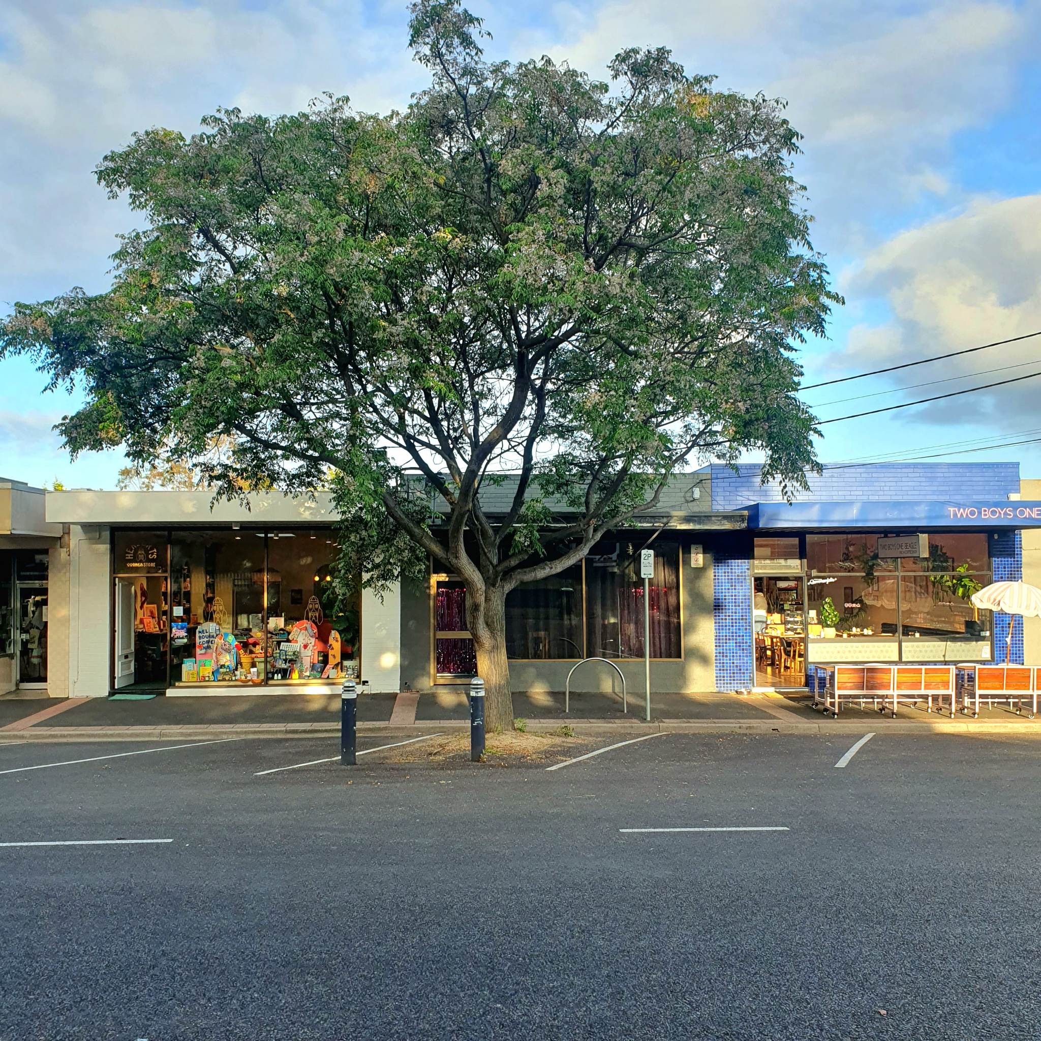 Donna Wilson – Herbert's Corner Store